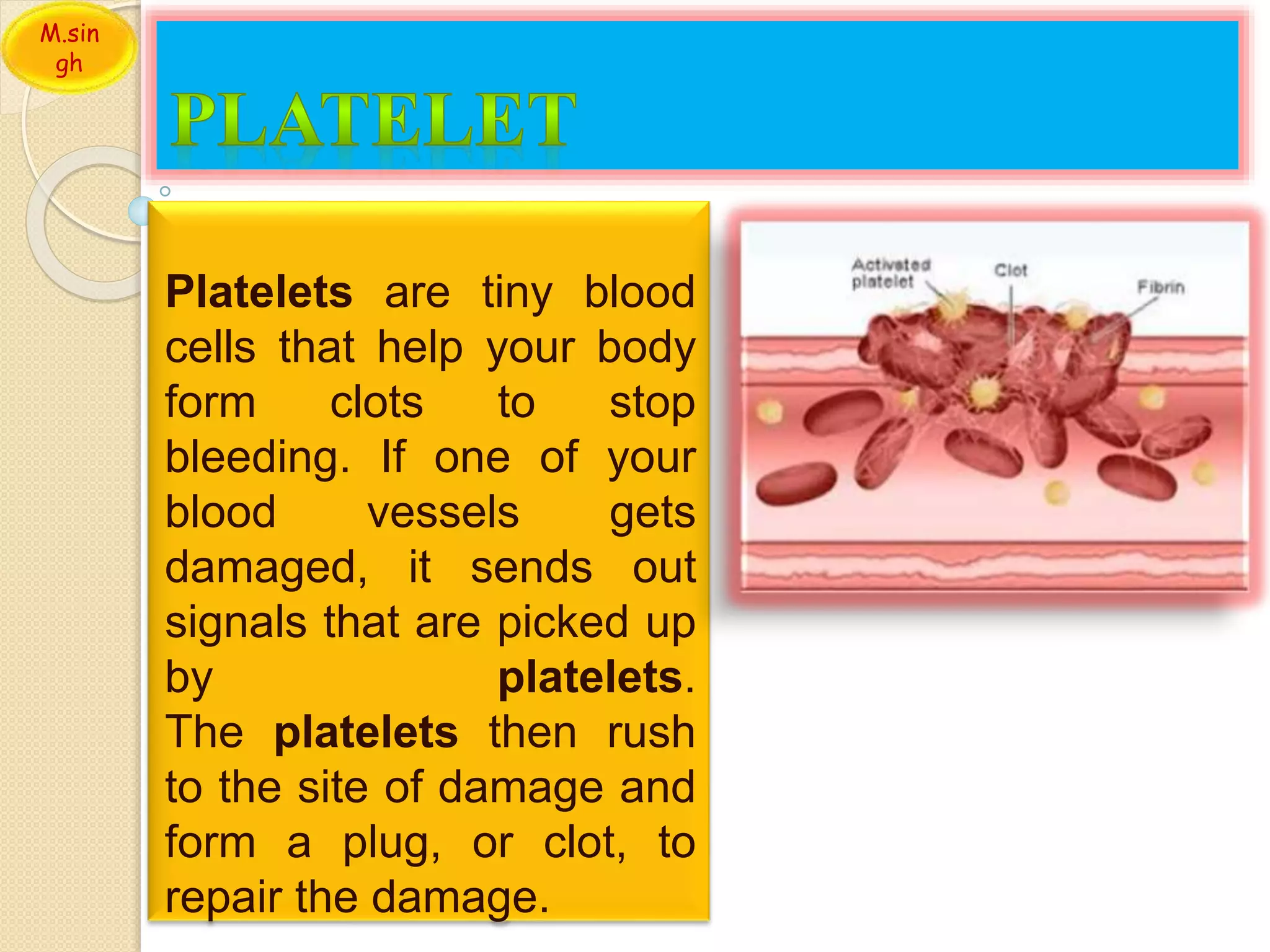 PLATELET ACTIVATING FACTOR | PPTX
