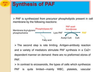 PLATELET ACTIVATING FACTOR | PPTX