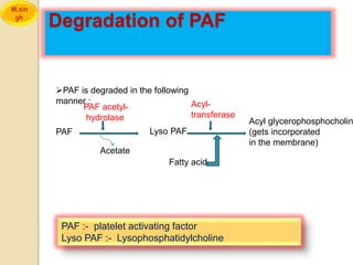 PLATELET ACTIVATING FACTOR | PPTX