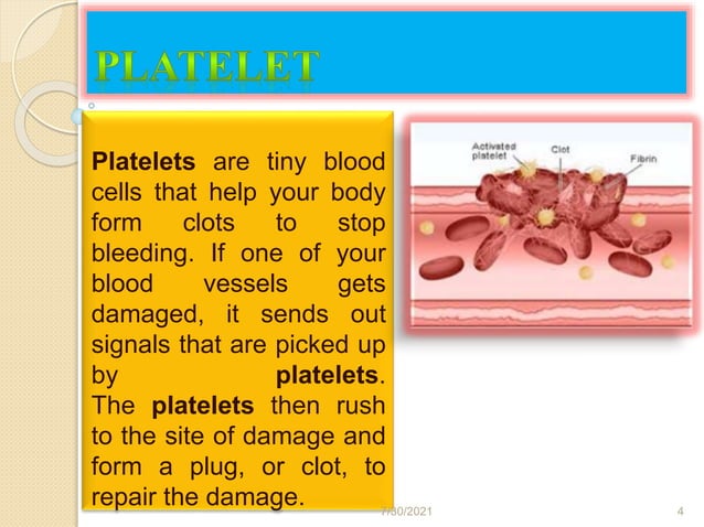 PLATELET ACTIVATING FACTORS: MECHANISM OF ACTION AND CLINICAL USES | PPTX
