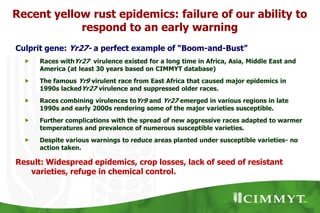 CIMMYT breeding strategies and methodologies to breed high yielding ...
