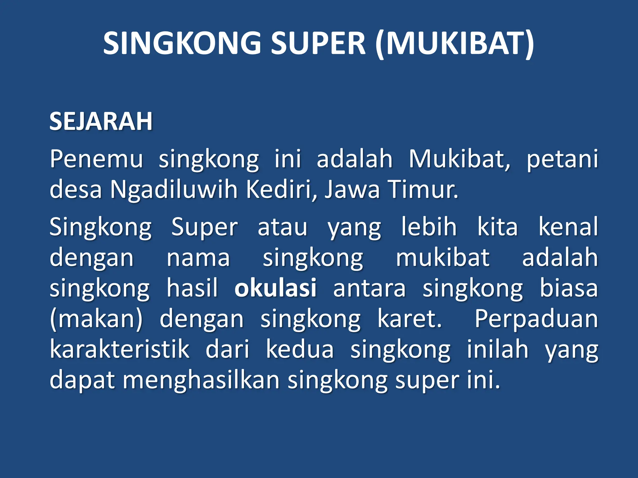Singkong Super Mukibat.pptx