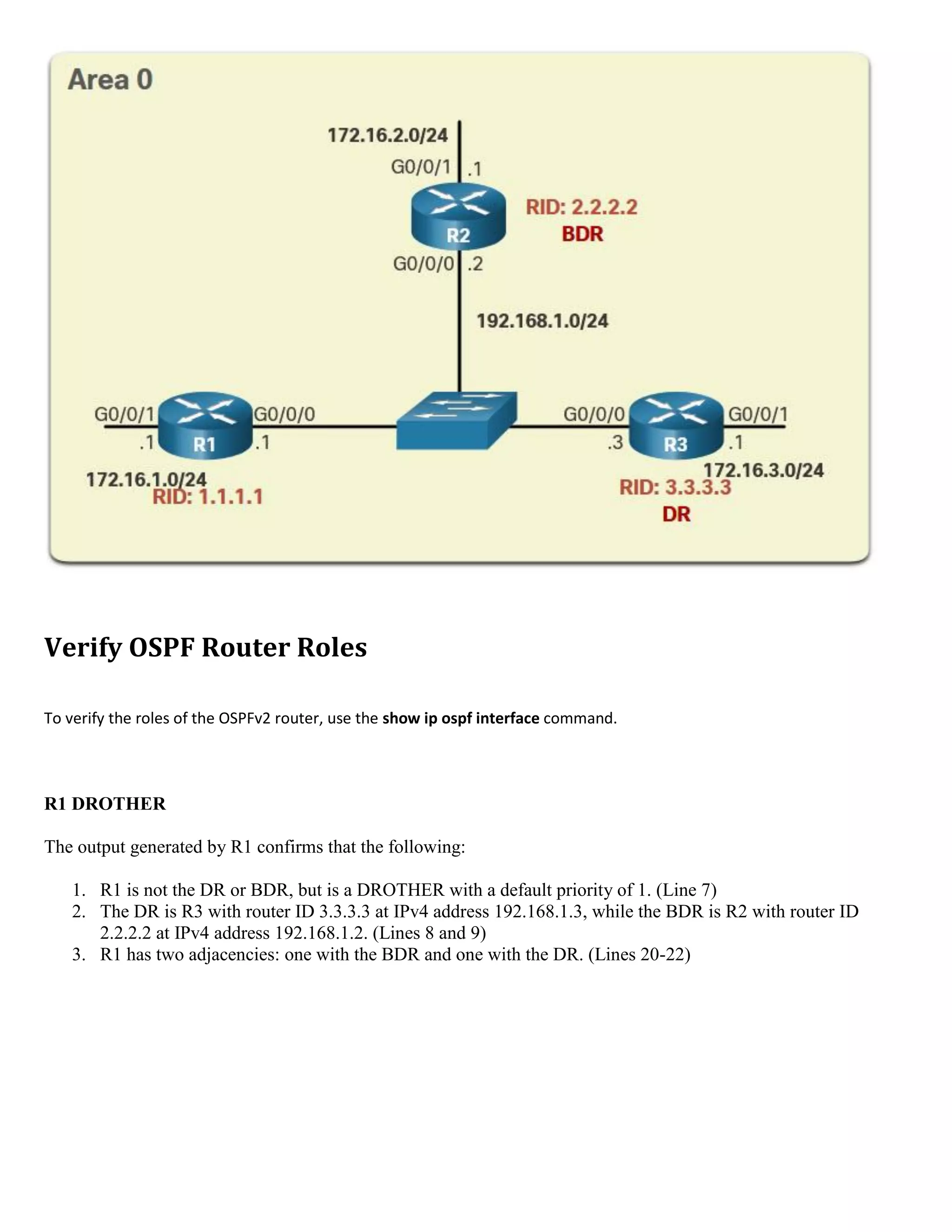 Single-Area OSPFv2 Concepts.pdf