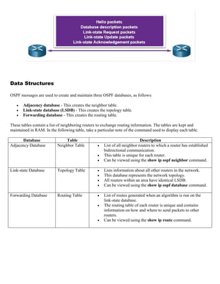 Single-Area OSPFv2 Concepts.pdf