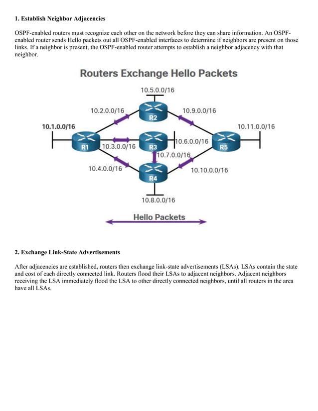 Single Area Ospfv2 Conceptspdf Computer Networking Computing