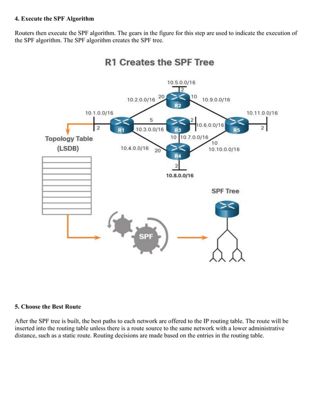 Single Area Ospfv2 Conceptspdf