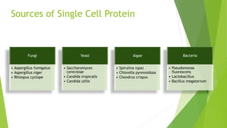 Single-cell protein | PPTX