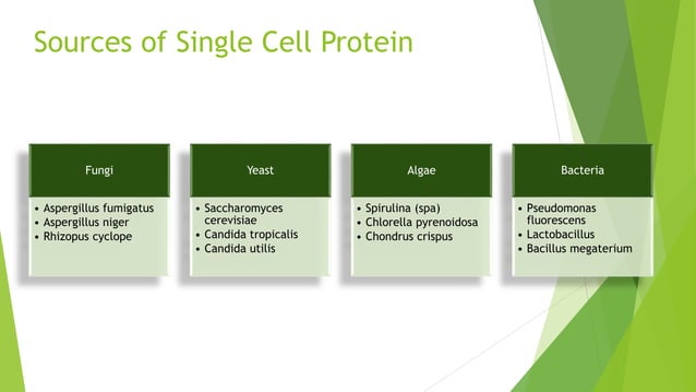 Single-cell protein | PPTX
