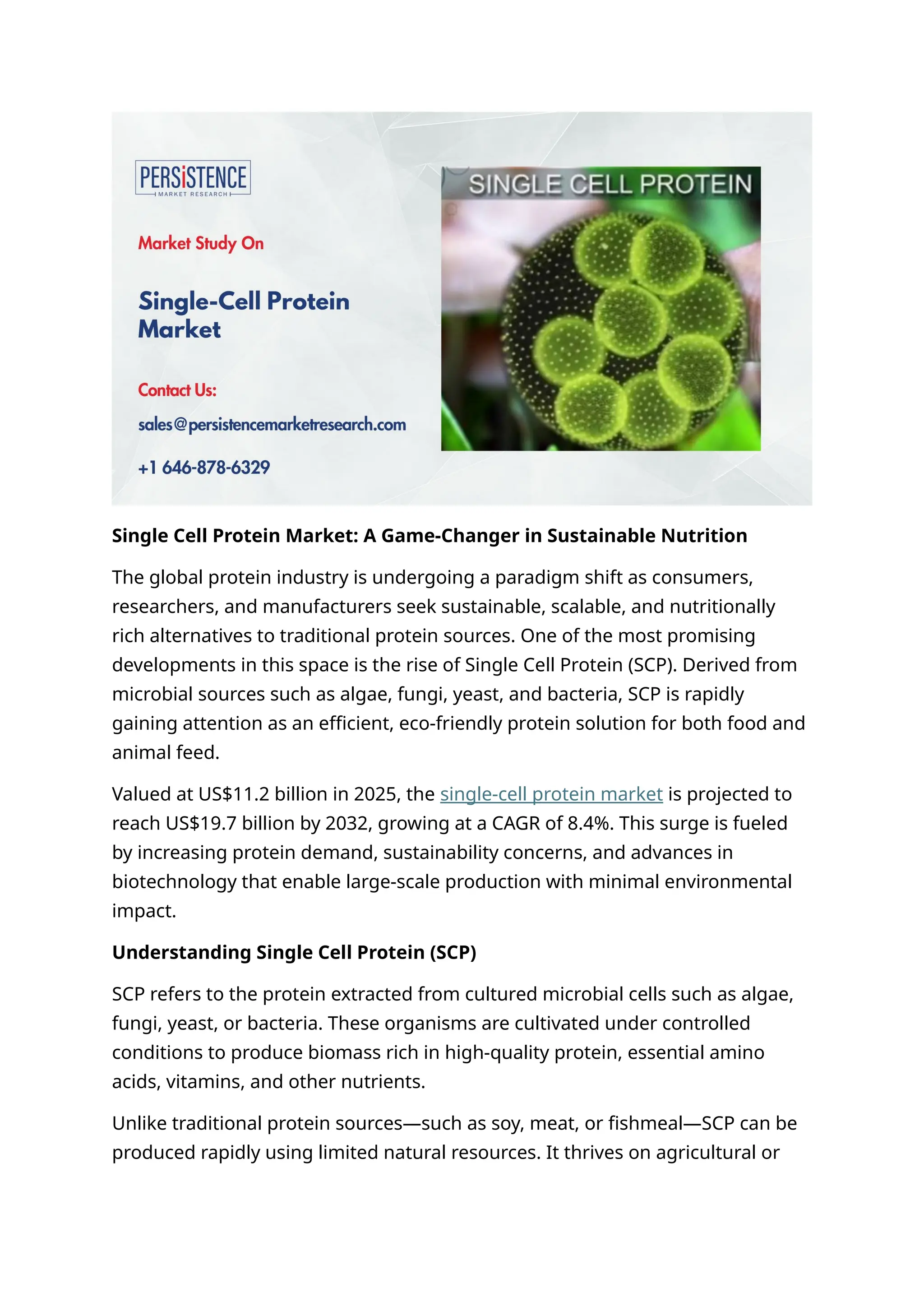 Single Cell Protein Market Matures with Strategic Collaborations and ...