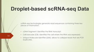 Processing Raw scRNA-Seq Sequencing Data | PPT