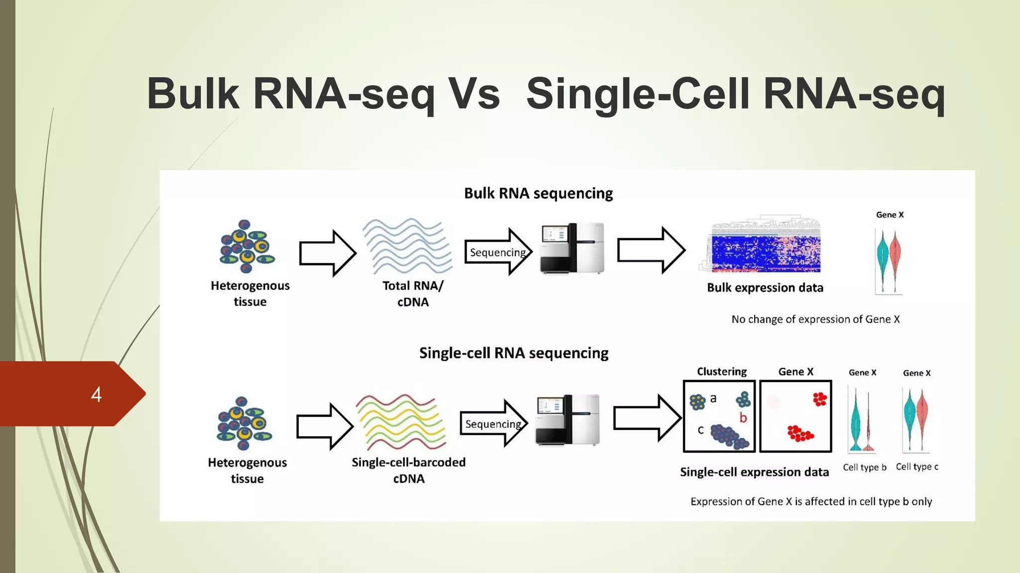 Overview of Single-Cell RNA-seq | PDF