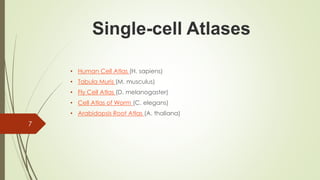 Overview of Single-Cell RNA-seq | PDF