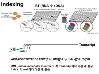 Single-cell RNA sequencing | PPT