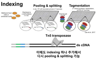 Single-cell RNA sequencing | PPT