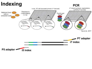 Single-cell RNA sequencing | PPT