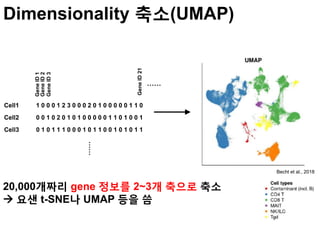Single-cell RNA sequencing | PPT