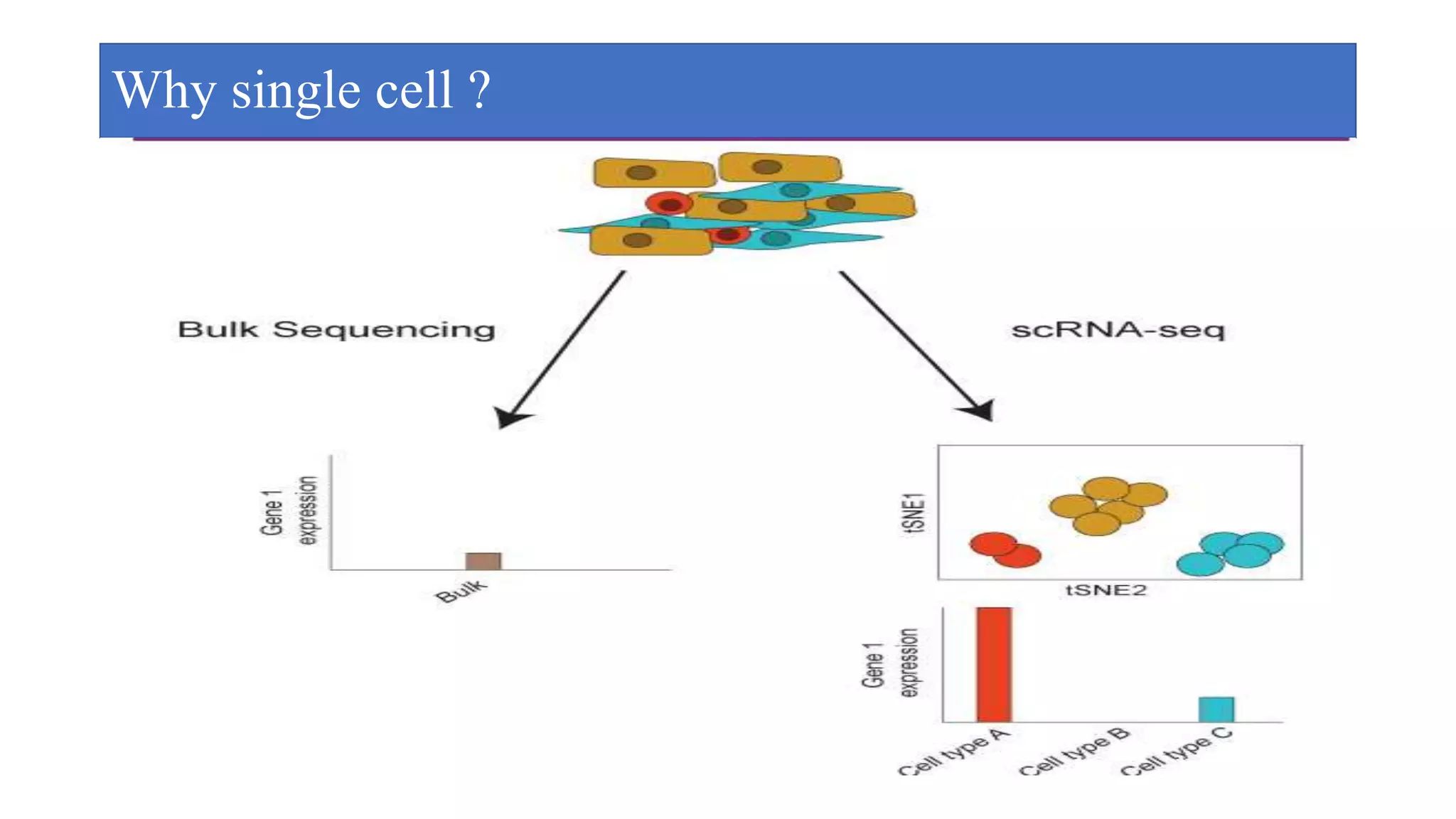Single-cell technologies — studying rheumatic diseases one cell.pptx