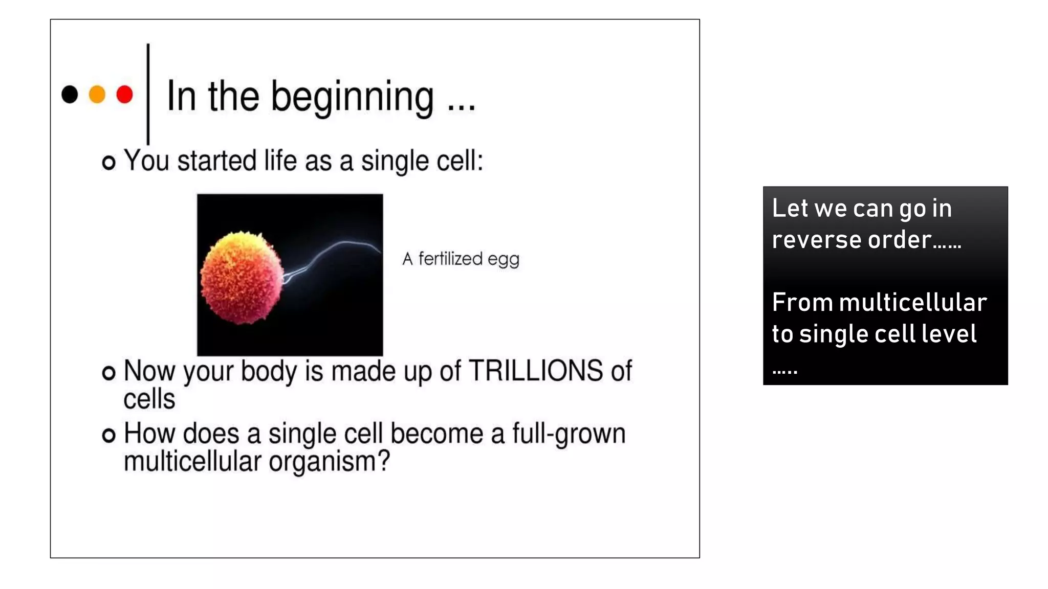 Single-cell technologies — studying rheumatic diseases one cell.pptx