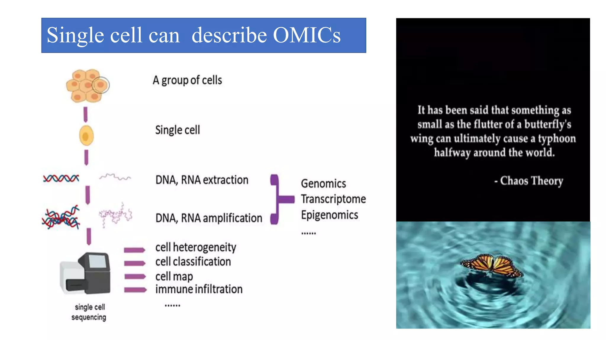 Single-cell technologies — studying rheumatic diseases one cell.pptx