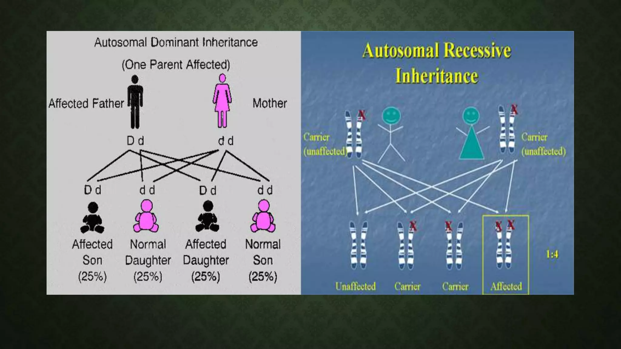 Single gene disorders | PPTX