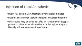 Single-Injection-Caudal-Blocks-for-Pediatric-Anesthesia-7_17.pptx ...