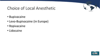 Single-Injection-Caudal-Blocks-for-Pediatric-Anesthesia-7_17.pptx ...
