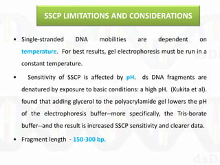 Single strand conformation polymorphism | PPTX