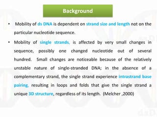 Single strand conformation polymorphism | PPTX