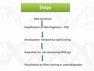 Single strand conformation polymorphism | PPTX