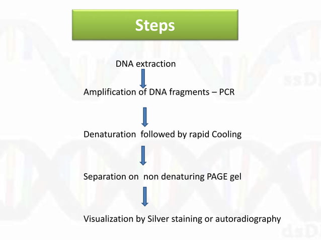 Single Strand Conformation Polymorphism Pptx
