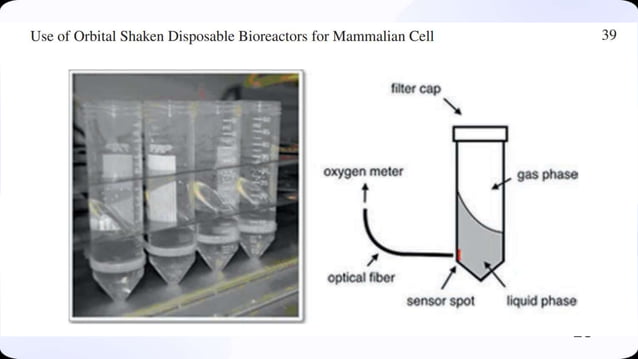 Single-Use-Bioreactors-A-Comprehensive-Examination.pptx | Biotech and ...
