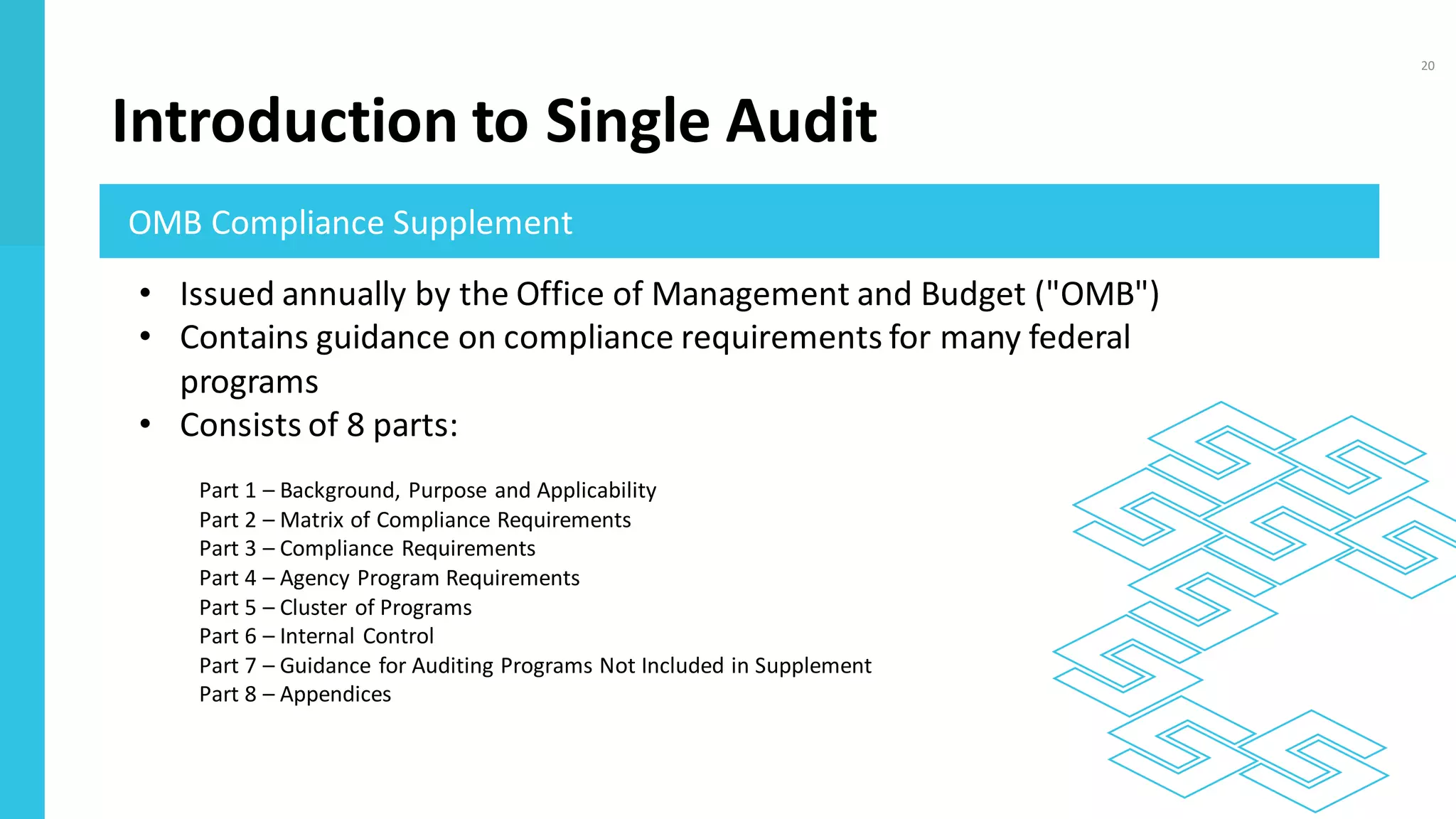 Understanding Single Audit Compliance Requirements - It's No Joke! | PDF