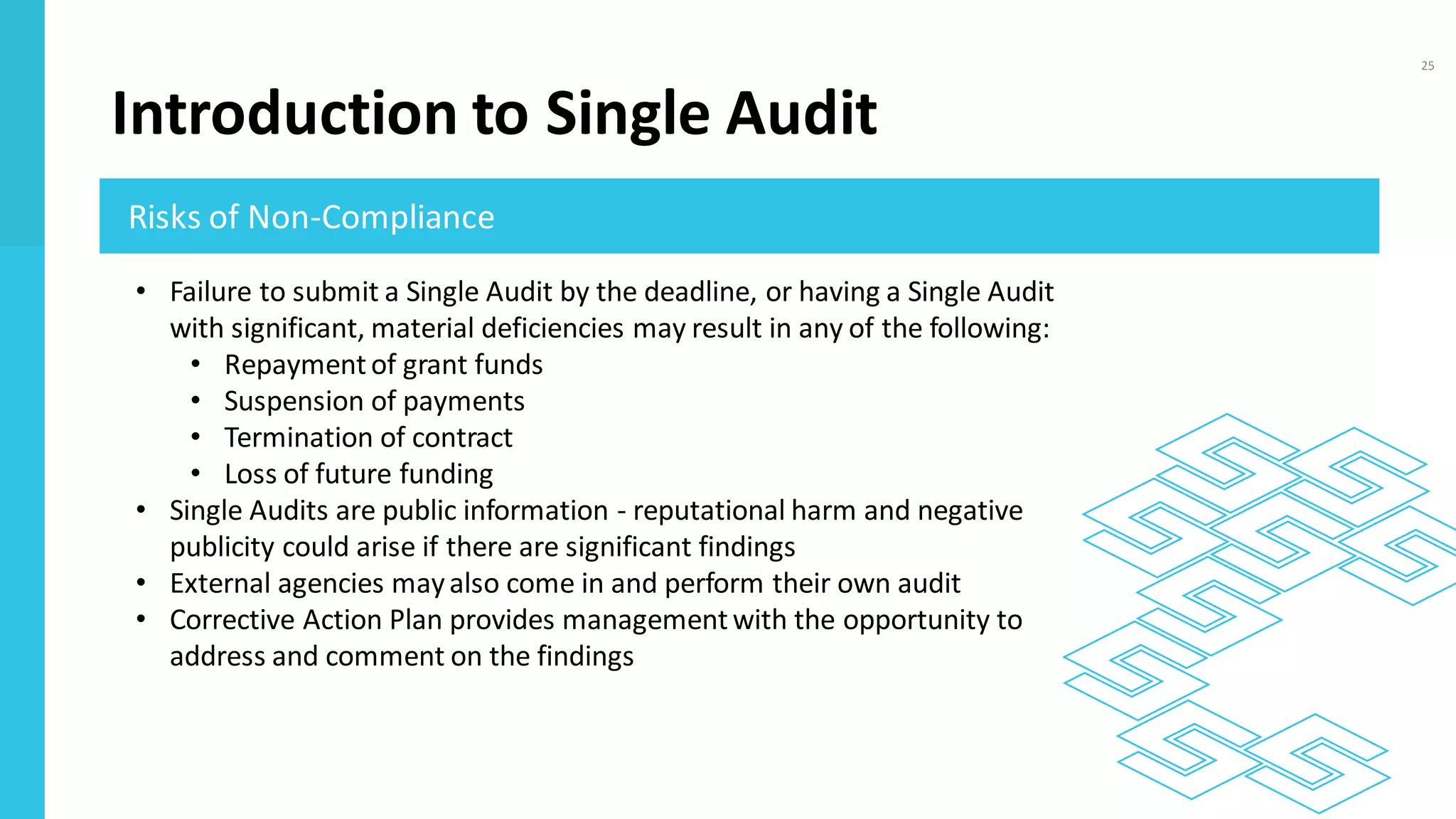 Understanding Single Audit Compliance Requirements - It's No Joke! | PPT