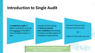 Understanding Single Audit Compliance Requirements - It's No Joke! | PDF