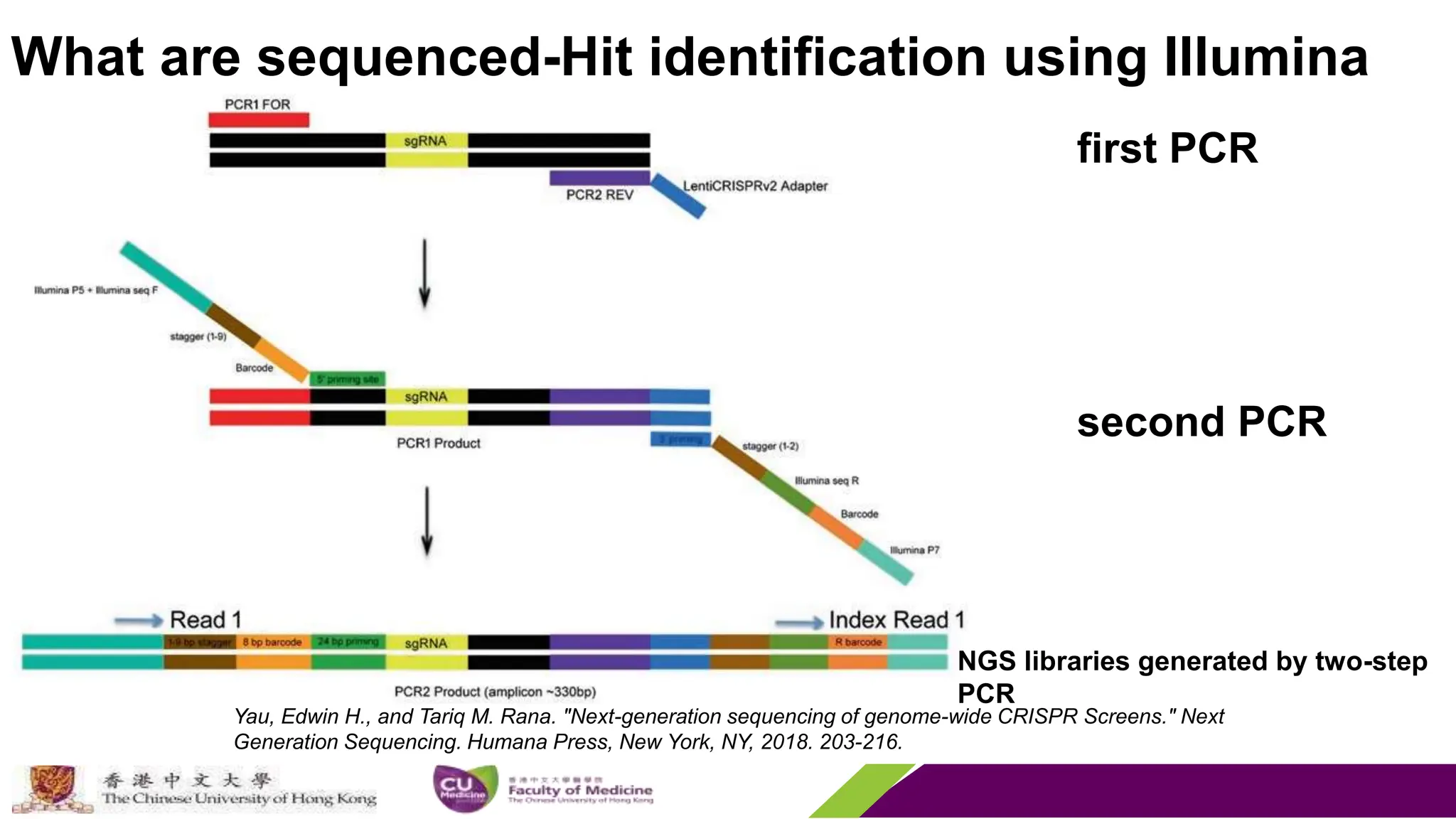 High-throughput single-cell CRISPR-Cas9 gene editing. | PPTX