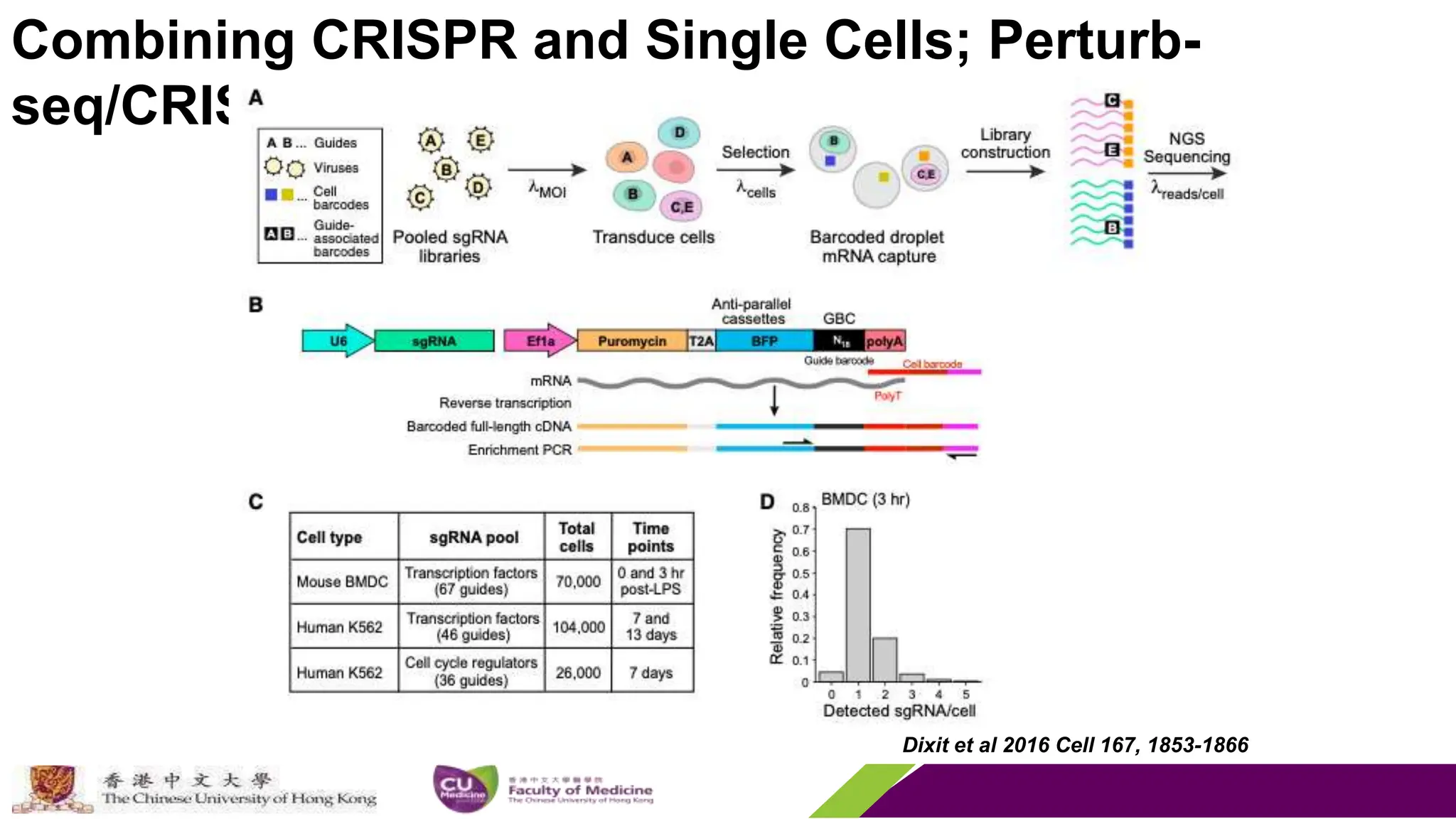 High-throughput single-cell CRISPR-Cas9 gene editing. | PPTX