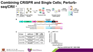 High-throughput single-cell CRISPR-Cas9 gene editing. | PPTX