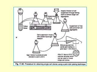 Single cell culture | PPTX