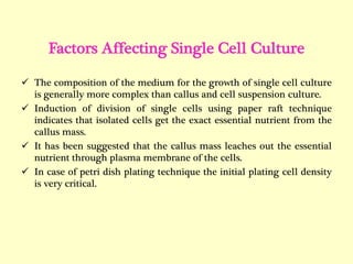Single cell culture | PPTX