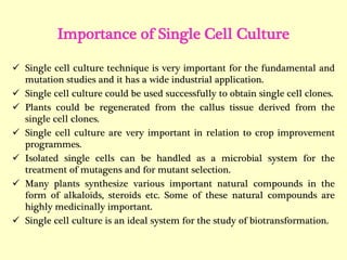 Single cell culture | PPTX