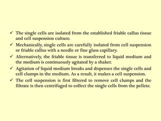 Single cell culture | PPTX