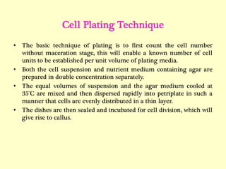Single cell culture | PPTX