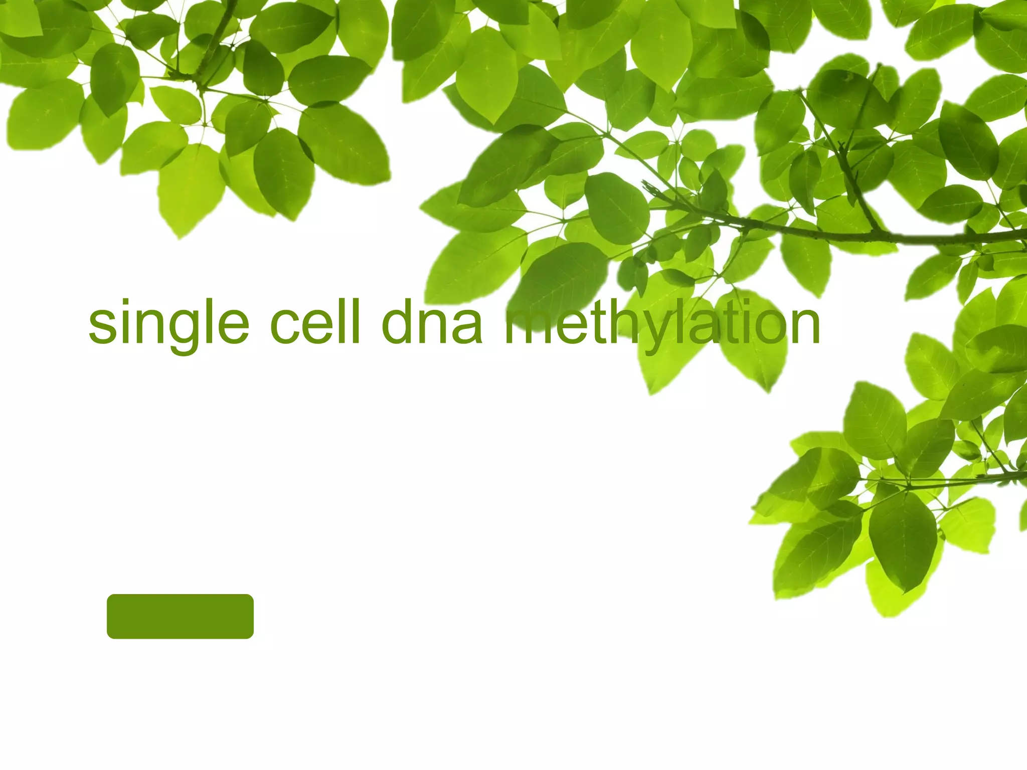 Single cell dna methylation | PPT