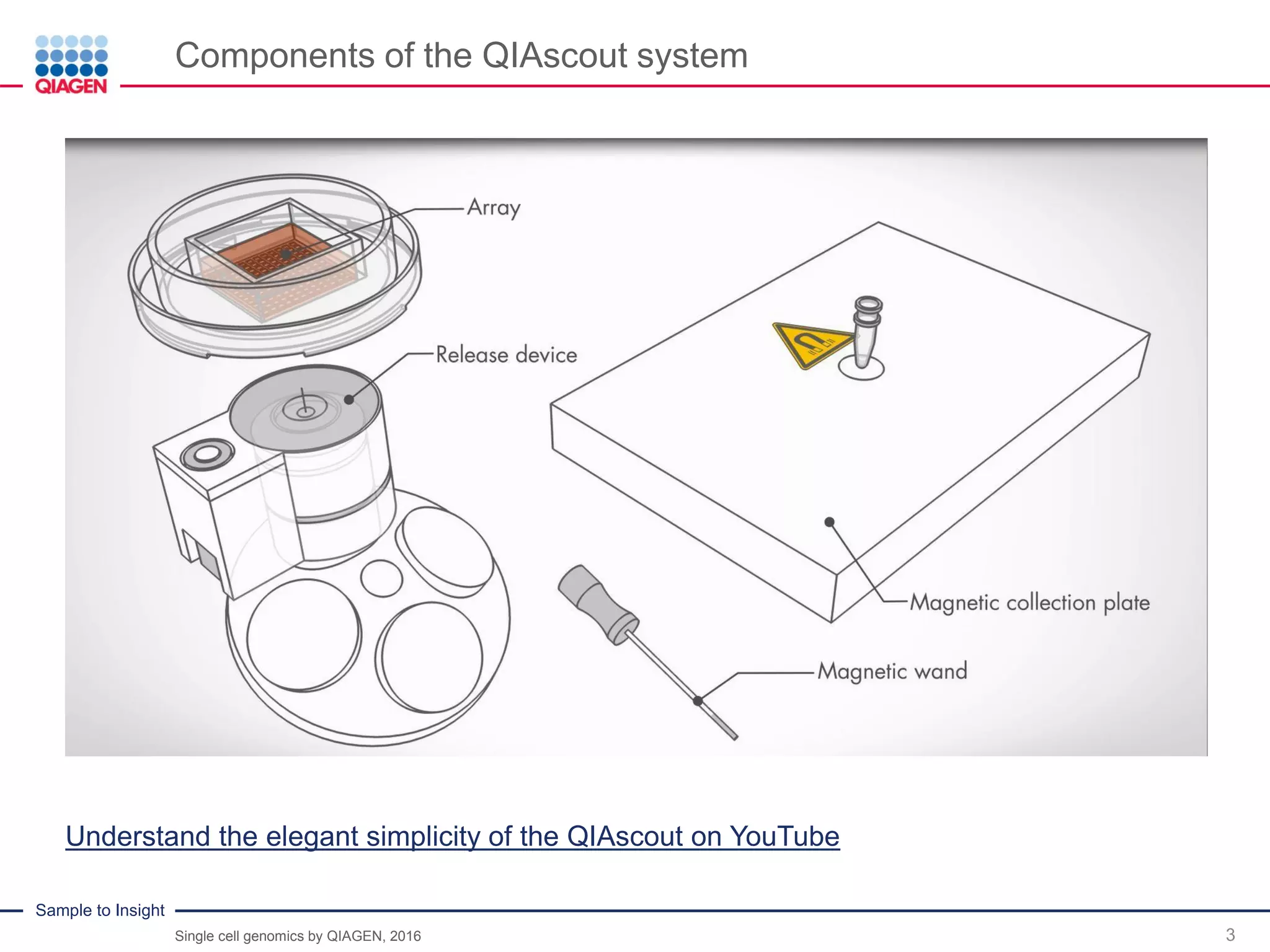 Single Cell Isolation | PDF