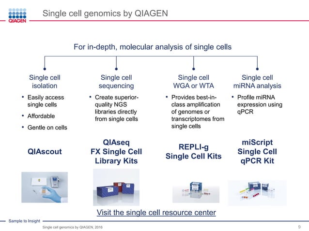 Single Cell Isolation | PDF | Biological Sciences | Science