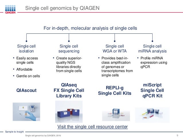 Single Cell Isolation