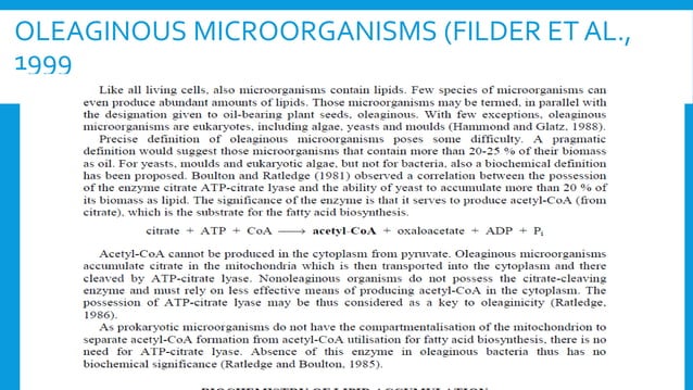 Single cell oil | PPTX | Chemistry | Science
