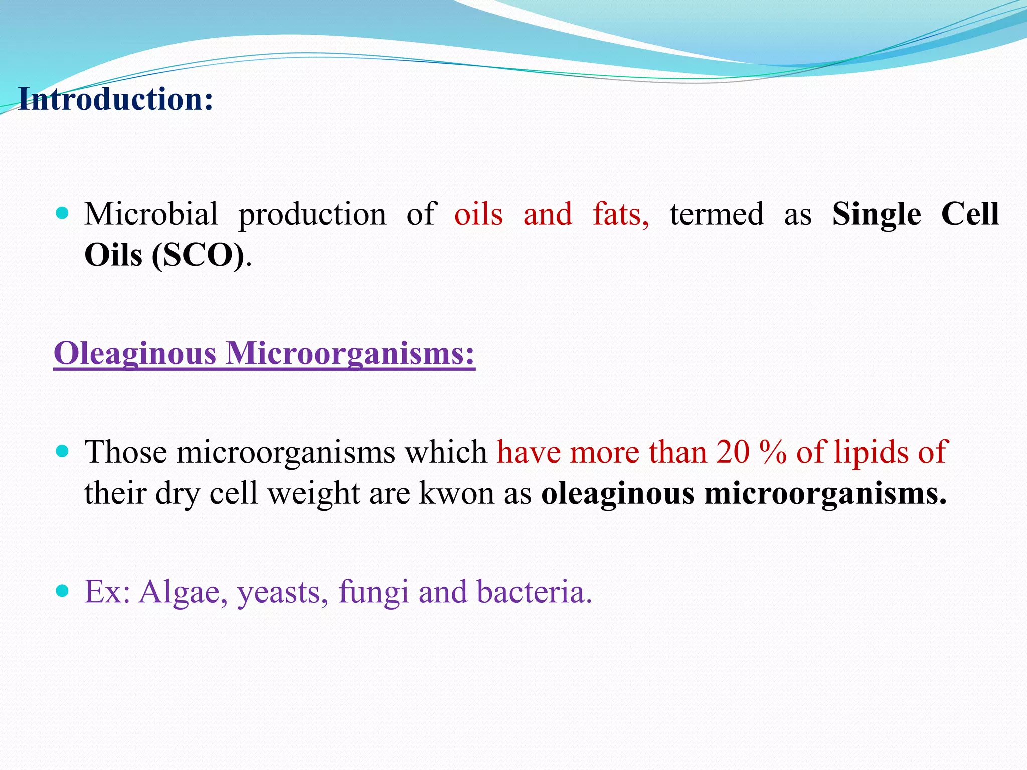 Single cell oil (SCO) | PPTX