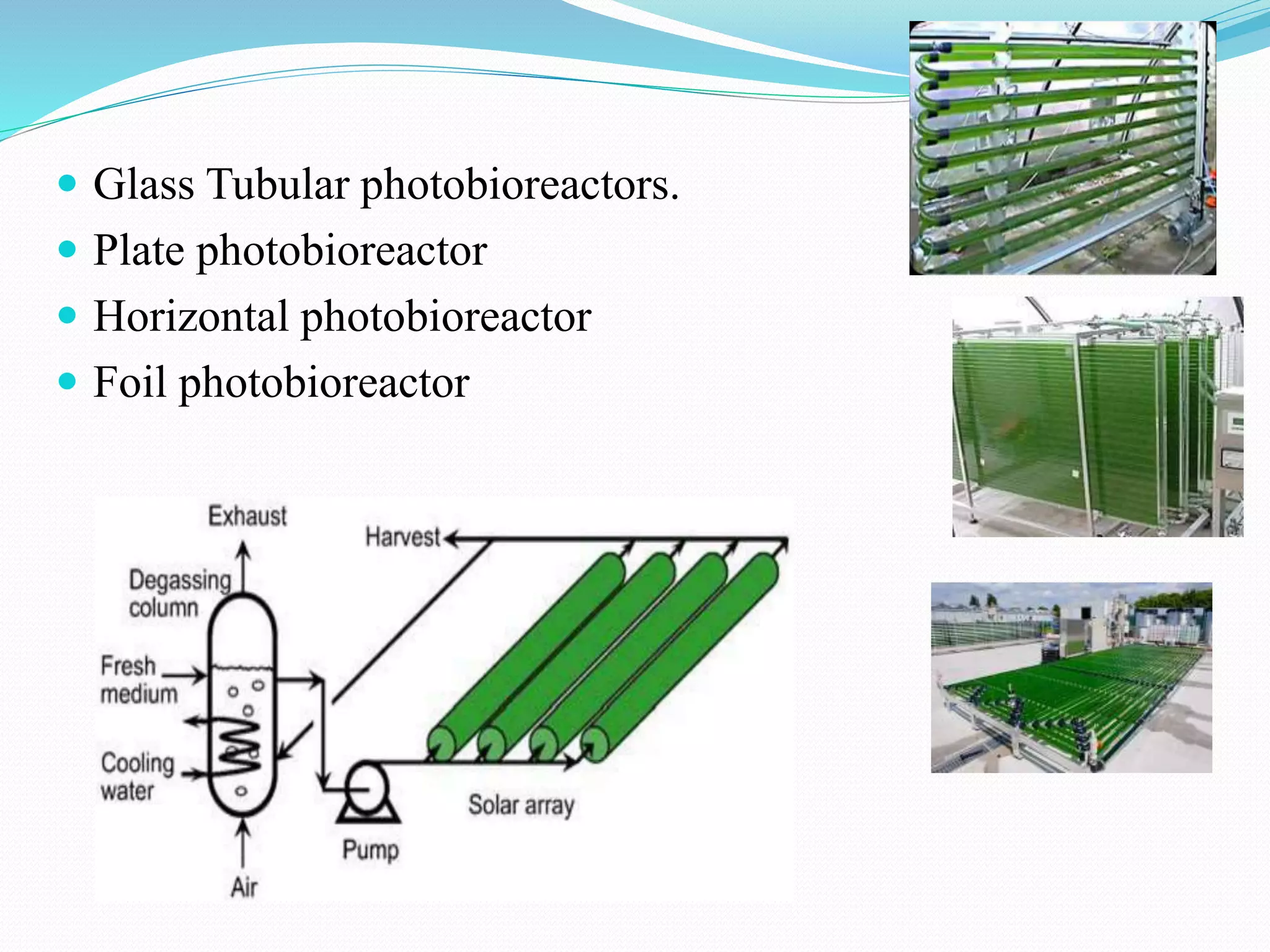Single cell oil (SCO) | PPTX