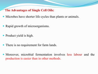 Single cell oil (SCO) | PPTX | Chemistry | Science